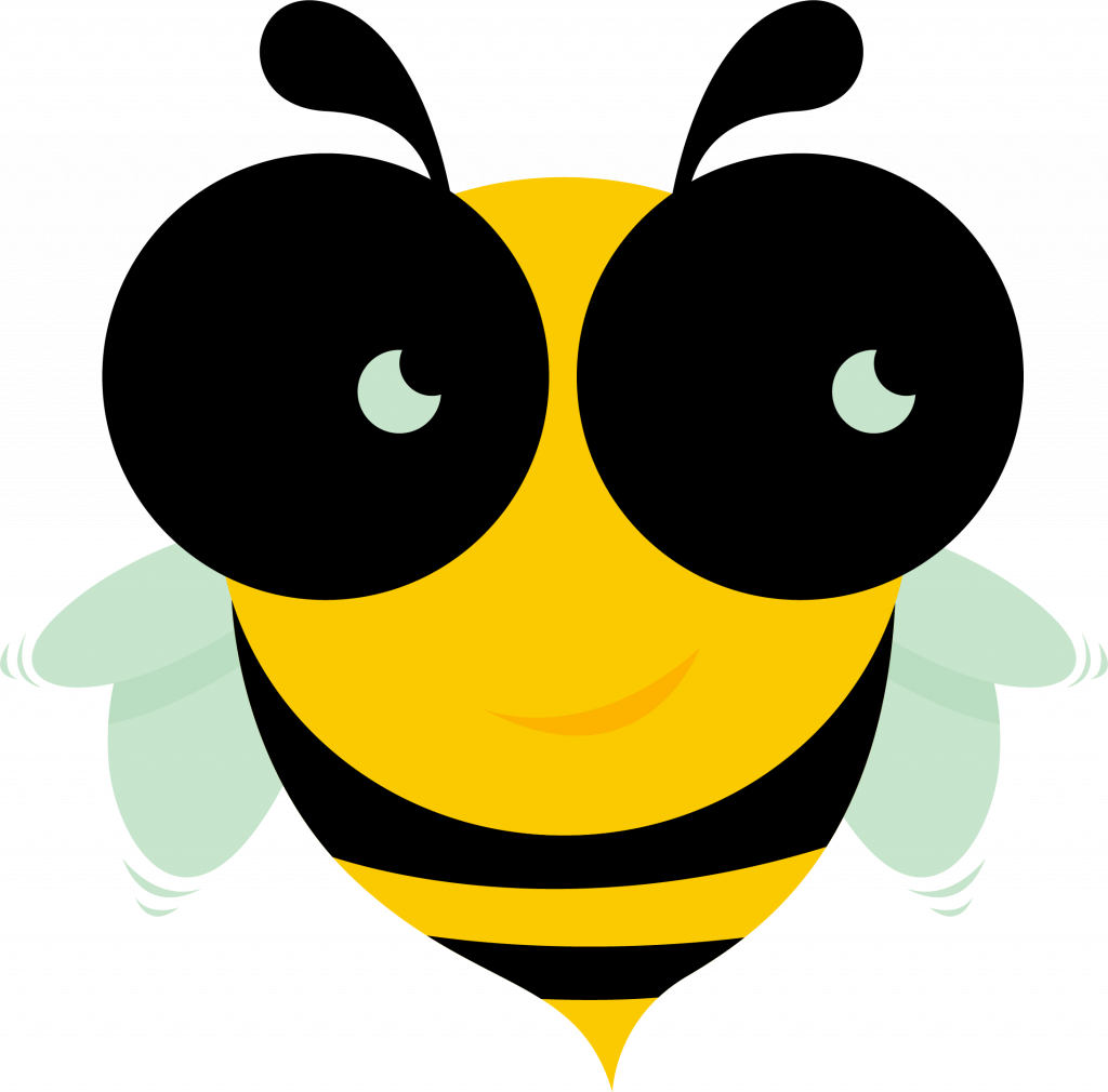 Fidalgo Pool’s Comeback Wave: Can a Bold Park District Plan Win After ...